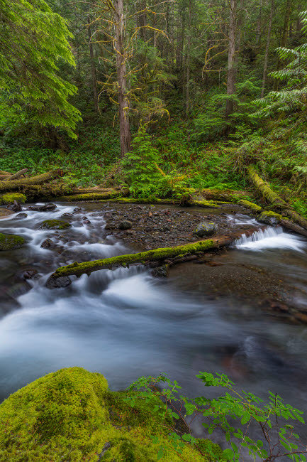 Loon Peak® USA Washington State Olympic National Forest Big Quilcene River Rapids Credit As: Don ...
